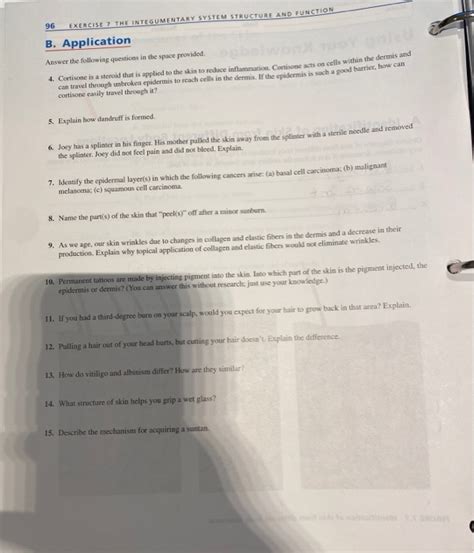 Solved 96 Exercise 7 The Integumentary System Structure And