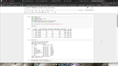 completed a data preprocessing task at codealpha mahmoud ashraf