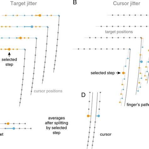 Schematic Representation Of The Stimulus And Analysis Target And Download Scientific Diagram