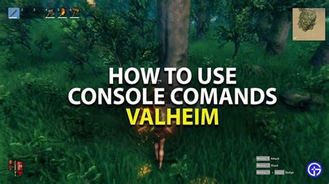 Valheim Cheats And Console Commands Cheating Console Command