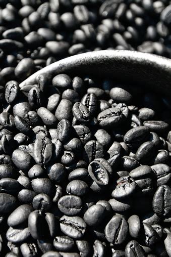 갓 볶은 향기로운 Robusta 커피 원두와 은색 특 종 유기농 커피입니다 크 라비 태국 현지 제품입니다 필드의 얕은 깊이 클로즈업입니다 컬러 사진입니다 0명에 대한 스톡