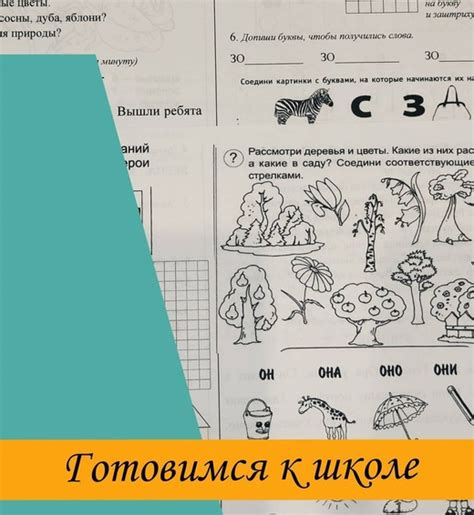 Рабочие листы для дошкольников купить в каталоге «Начальная школа Оксана Сергеевна ВКонтакте