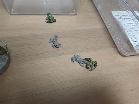 우리집 개구리 소개 미스터리 공포 에펨코리아