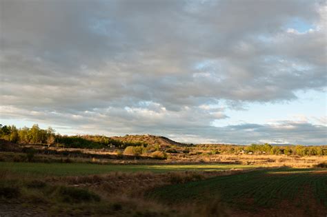 폭풍우가 몰아치는 봄 오후의 일몰 풍경 최근에 쓰러진 포플러 숲 0명에 대한 스톡 사진 및 기타 이미지 0명 구름 나무 Istock