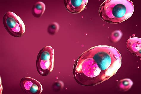 Can You Get Chlamydia From Oral Sex The Healthy Readers Digest
