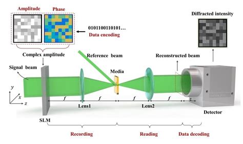Lensless Complex Amplitude Demodulation Based On Deep Learning In