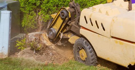 Stump Grinding In Orlando Central Florida