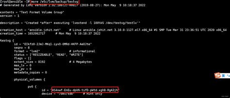 再谈linux磁盘扩容（pvresize直接扩容pv） csdn博客
