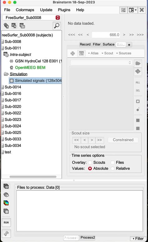 Eeg Simulation Based On Head Model Discussions Brainstorm