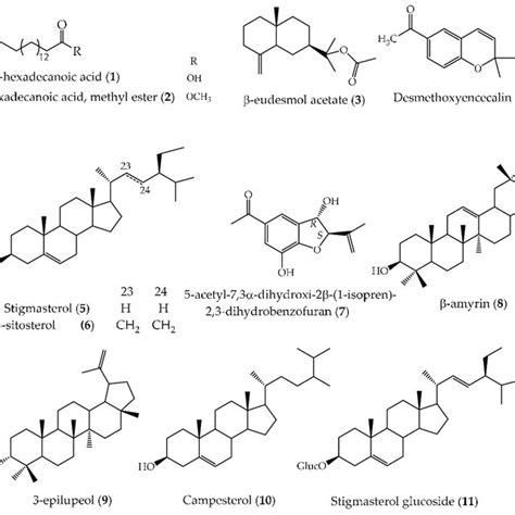 Chromatogram Of Gc Ms Analysis Of Ethyl Acetate Callus Extract The Red
