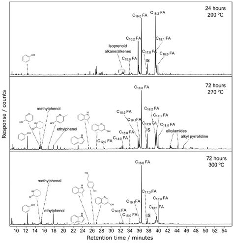 Gc−ms Total Ion Current Tic Chromatograms Of Extracted And