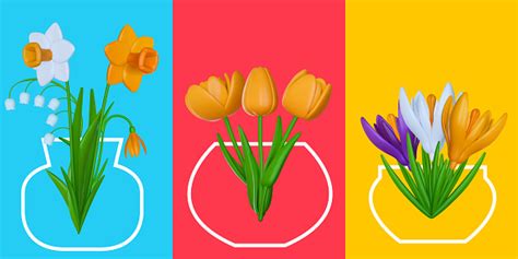 꽃다발 봄 꽃 수선화 크로커스 튤립 Snowdrop 실루엣 꽃병과 함께 사실적인 3d 스타일의 세트 창조적 인 밝은 식물 구성 벡터 일러스트 레이 션 0명에 대한 스톡 벡터