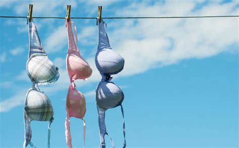 Best Way To Dry A Bra Find The Proper Way To Wash And Dry It