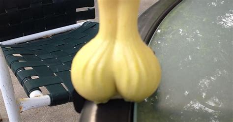 Dad Grew A Penis Squash Imgur