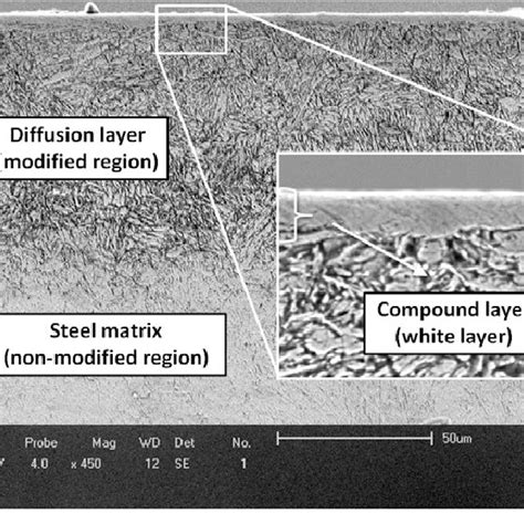 Sem Micrographs Of Cross Sections Of Aisi H13 Tool Steel Samples After Download Scientific