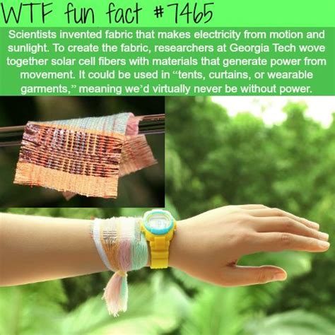 Andrew Pine Andrewpine Profile Pinterest