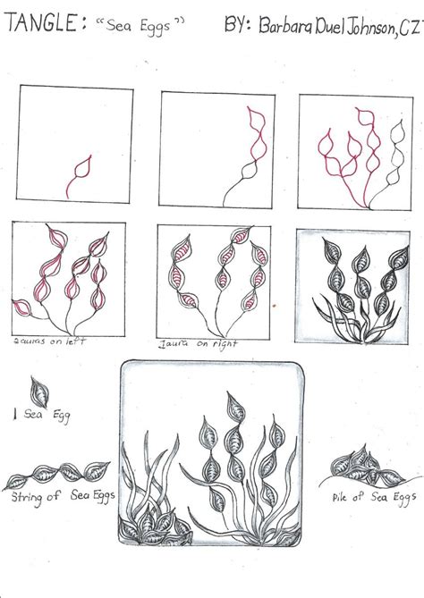 Tangle Pattern Sea Eggs A Sea Tangle Beach Tangle Botanical Tangleflower Tangle Organic