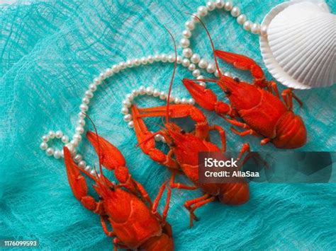 붉은 삶은 가재 세 마리가 진주 옆에 있는 푸른 천 위에 놓여 있다 비싼 음식 독점 해양 갈고리 발톱에 대한 스톡 사진 및 기타 이미지 Istock