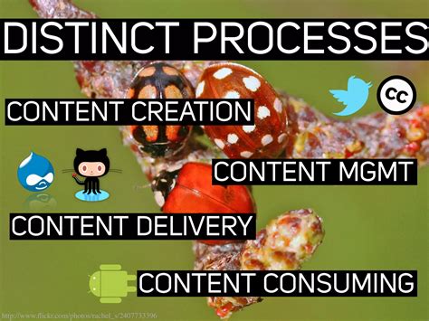Fat Client Cms As Api Pdf Web Development Internet