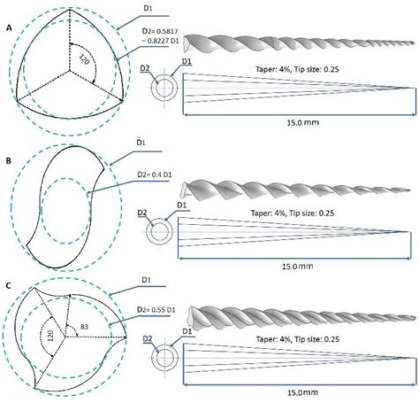 Cross Sectional Longitudinal Geometries And Finite Element Models Of Download Scientific
