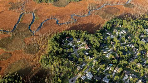 აჩრდილი ტყეები