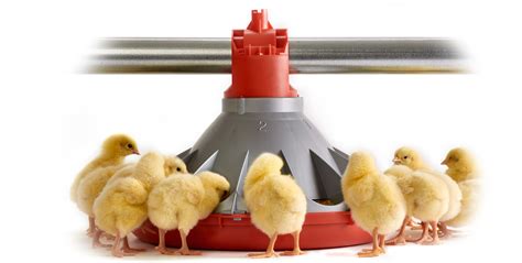 Chore Time At Ippe 2025 Chore Time