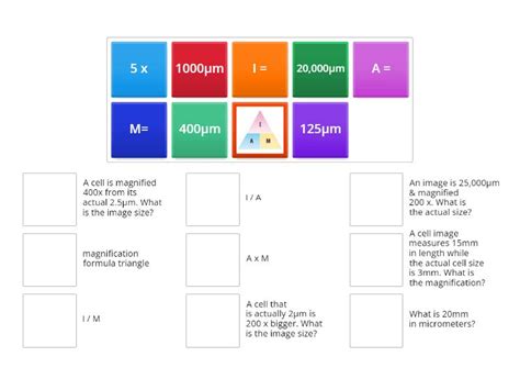 Magnification Match Up