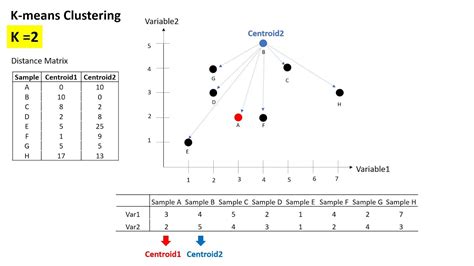 머신러닝 알고리즘 K Means 클러스터링 Youtube