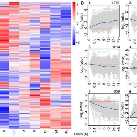 Clustering Analysis Of The Differentially Expressed Genes Degs A Download Scientific