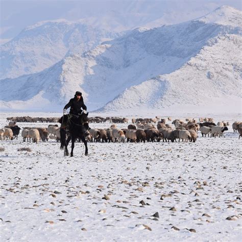 Timo Balz Professor Full Dr Ing Wuhan University Wuhan Whu