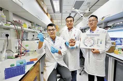 港科大用ai預測治腦瘤結果 香港文匯報