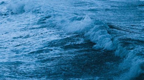 Can You Have Sex In The Caribbean Sea Deep Sea