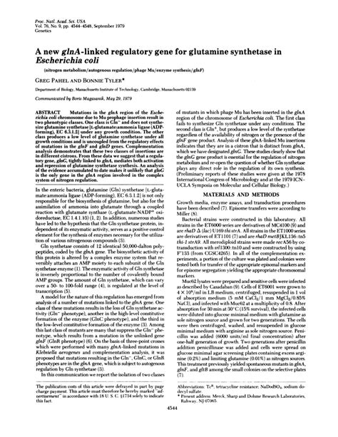Pdf A New Glna Linked Regulatory Gene For Glutamine Synthetase In Escherichia Coli