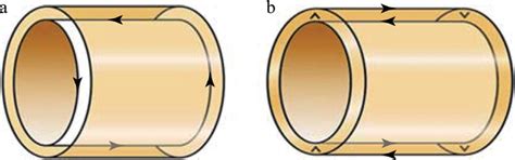 sketch map of volume coils a birdcage coil and b tem coil download scientific diagram