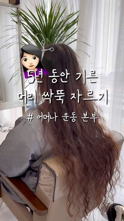 💇🏻‍♀️5년동안 기른 머리 자르기 💇🏻‍♀️ 어머나 기부 머리카락 Youtube