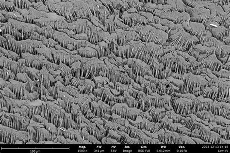 Why Use Low Accelerating Voltage For Sem Imaging Nanoscience Instruments