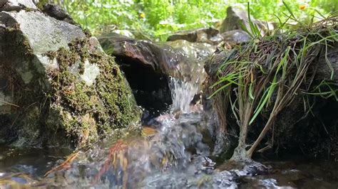 Голын чимээ Youtube