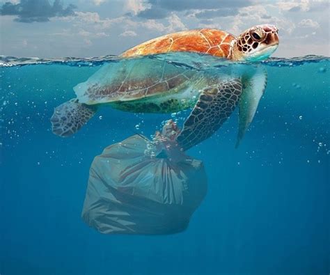 단독 바다 뒤덮은 쓰레기 더미작년에만 12만톤 건졌다