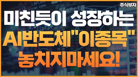 주식 미친듯이 성장하는 Ai반도체 이종목 놓치지마세요 엑시콘 네오셈 매커스 에이디테크놀로지 워트 오킨스전자 제주반도체 태성 에이팩트 퀄리타스반도체