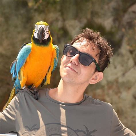 Serdar Alkan Linkedin