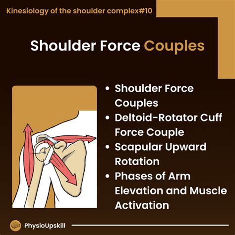 Episode76 Kinesiology Of Shoulder Complex 10 Physioupskill