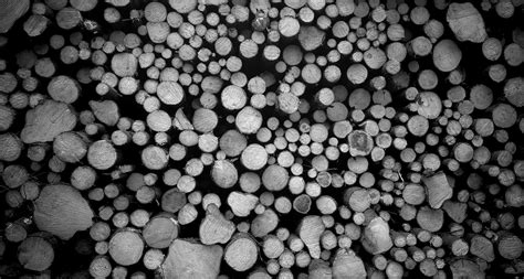 Apache Log4j Bug Bounty Program Bug Bounty Program Yeswehack