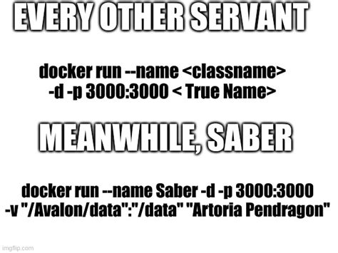 servants are just dockerized spirits of heroes r programmerhumor