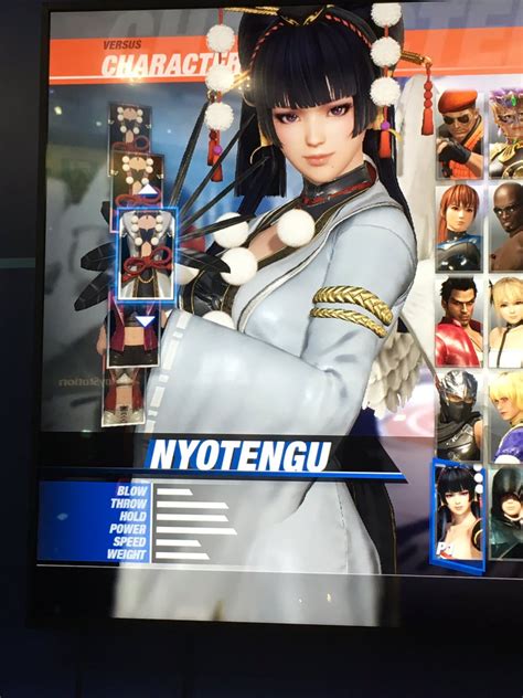 Top 16 Dead Or Alive Women By Bea Nakajima 0726 On Deviantart