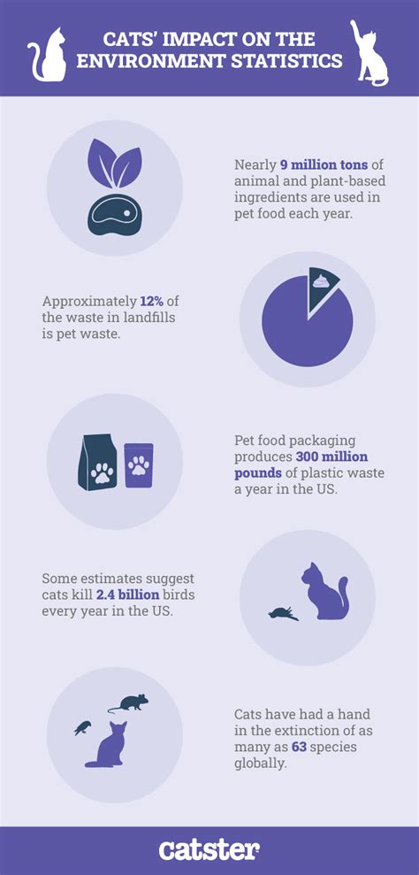 Cats Impact On The Environment Vet Verified Facts And Statistics Catster
