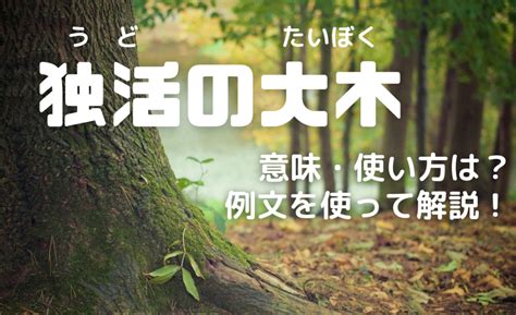 独活の大木うどのたいぼくの意味とは由来使い方の例文を紹介 ことわざのナルゾウ