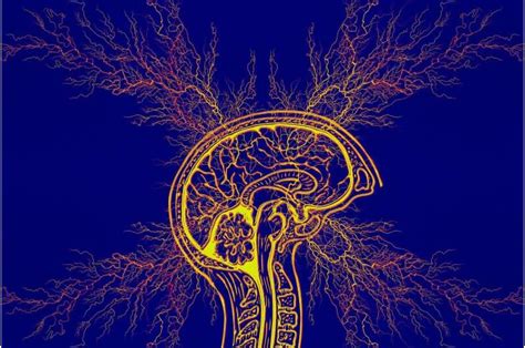 What To Know About Epilepsy And Providing First Aid During A Seizure