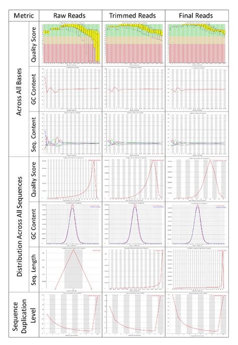 fastqc reports of raw sequencing reads trimmed reads and final