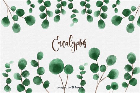 수채화 유칼립투스 나뭇잎 배경 무료 벡터