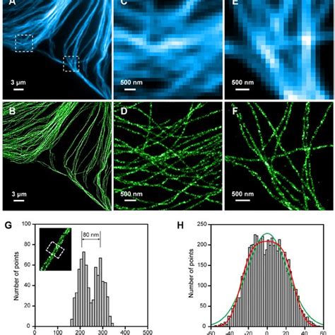 Pdf Multicolor Super Resolution Imaging With Photo Switchable Fluorescent Probes